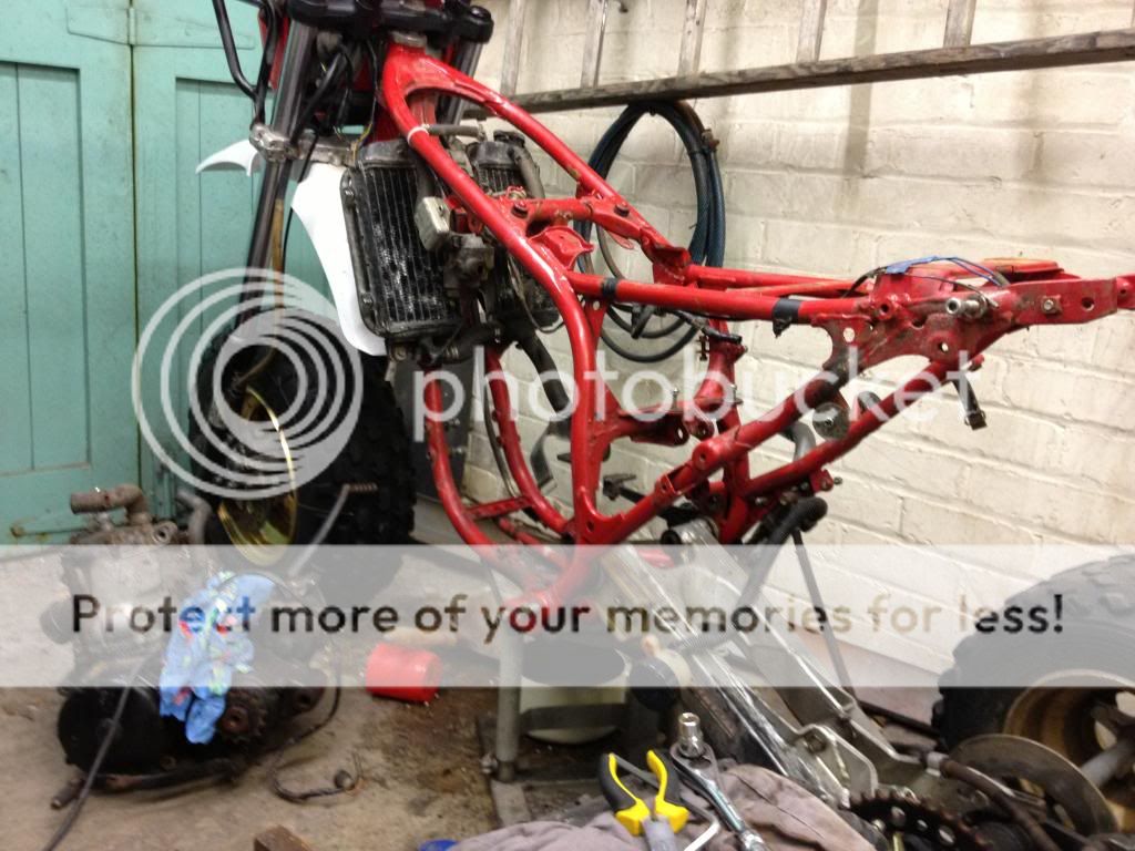 1986 tri z 250 rebuild