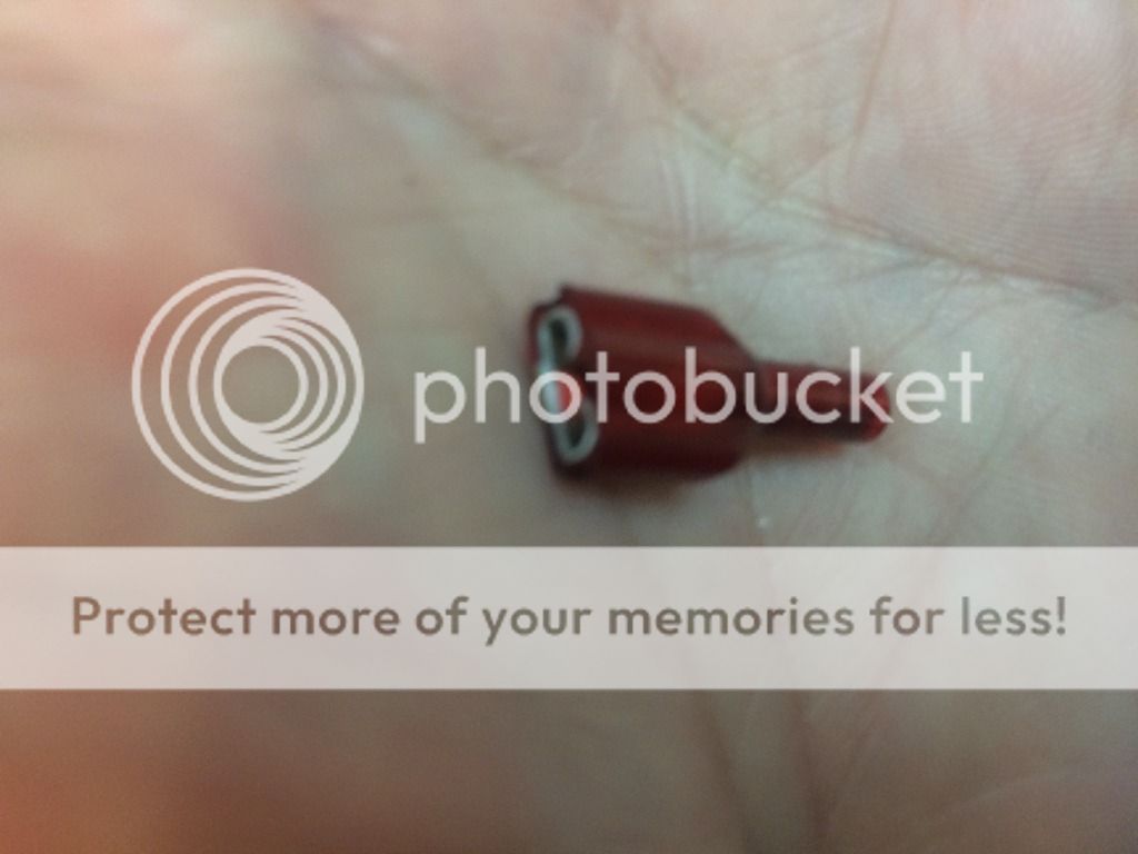 MX-5 Miata Forum - Darn rats...