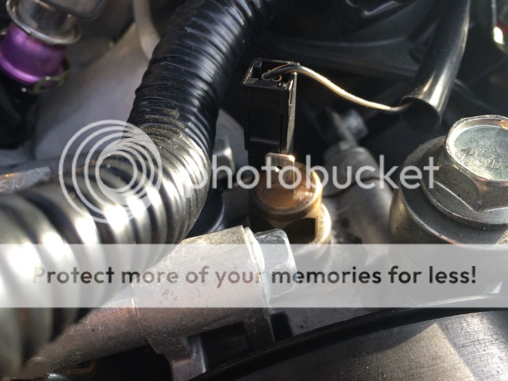 MX-5 Miata Forum - Darn rats...