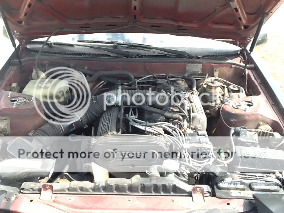 Dan's 6MGTE Build Thread | Toyota Celica Supra Forum